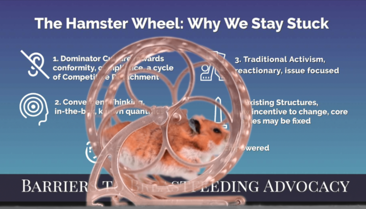 Hamster Wheel Activism – Kindred Media