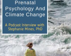 Pinterest Climate Change and Consciousness – Kindred Magazine