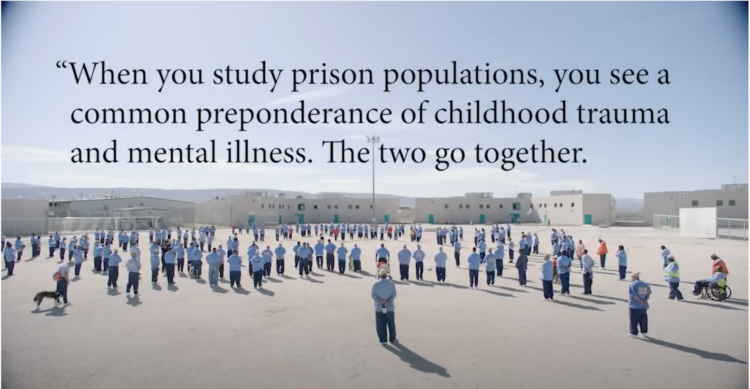 ACEs In Prison: A New Documentary, Step Inside The Circle – Kindred ...