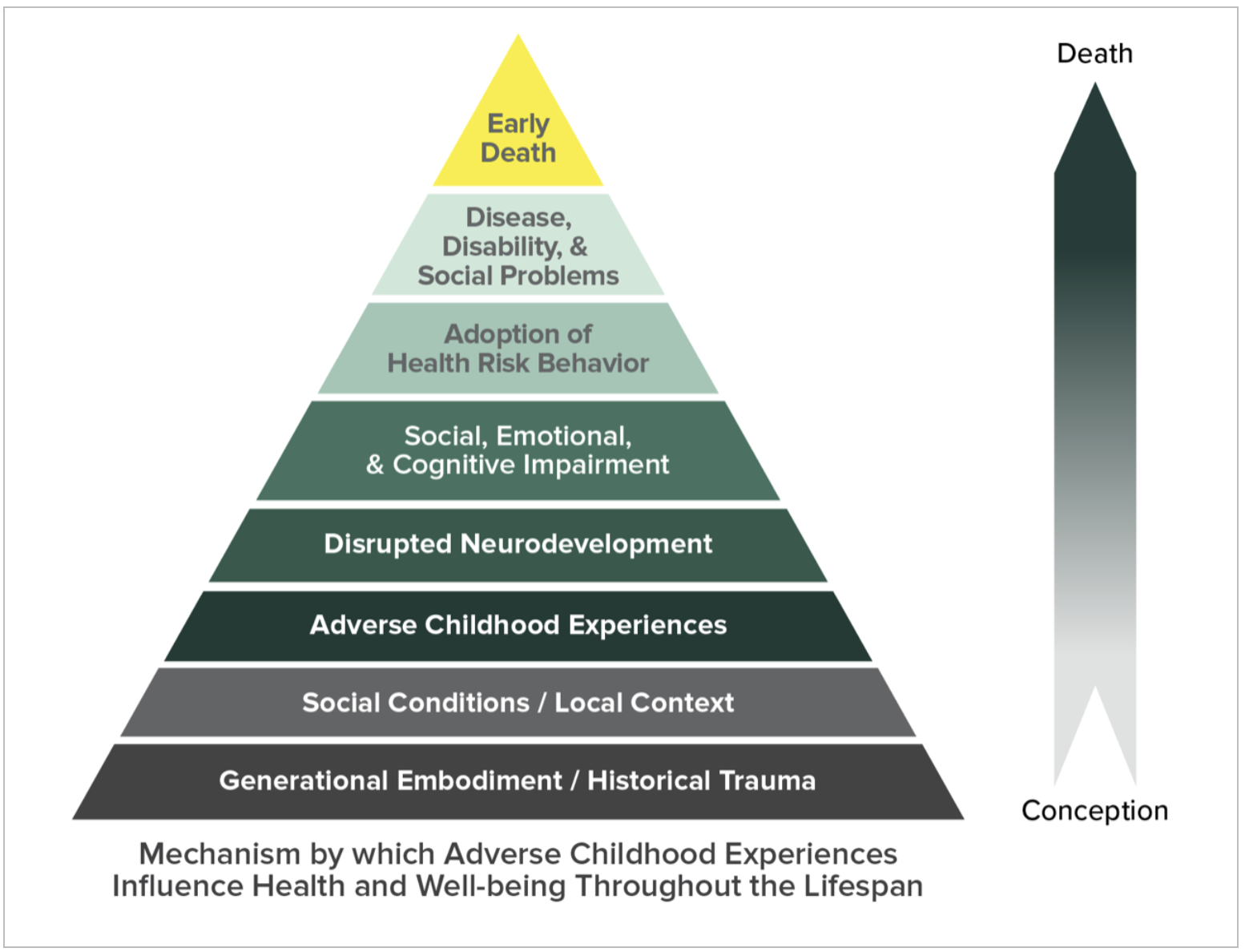 How A Grassroots Vision Is Driving Scotland To Become An ACES Aware ...