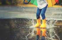 Clowning: An Ageless Tradition of Tricksters, Sacred Clowns, and Play ...