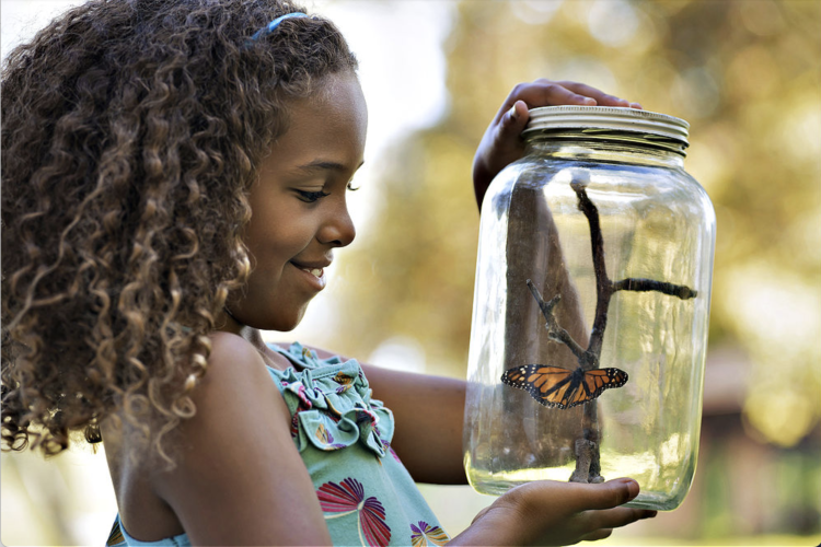Nurturing Genius in Children through Nature Connection – Kindred Media