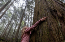 Nature Connection Songs for Children and Adults! – Kindred Magazine