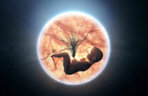 Kindred Media – Sharing the New Story of Childhood, Parenthood, and the ...