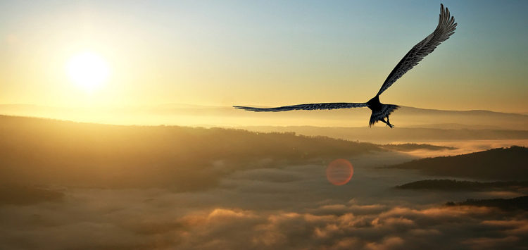 Broken Eagle Wing: Mending Worldview – Kindred Magazine